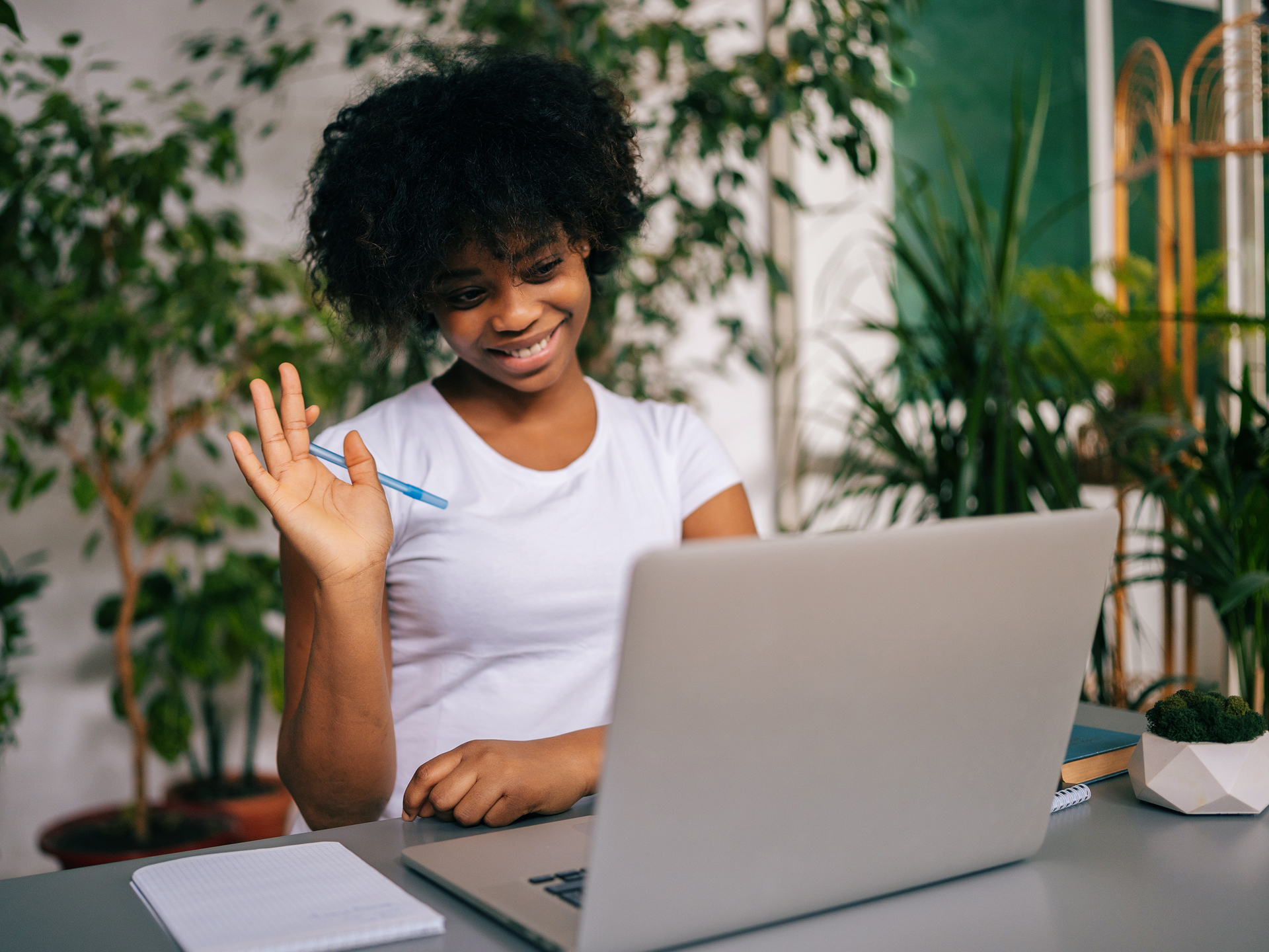 ntouch apps | Videophone on Mobile or Desktop